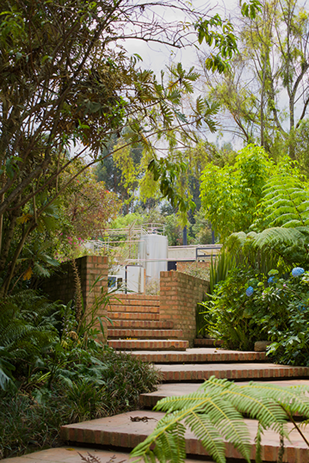 Nuestra diferencia desde las montañas de Subachoque | Dejamu